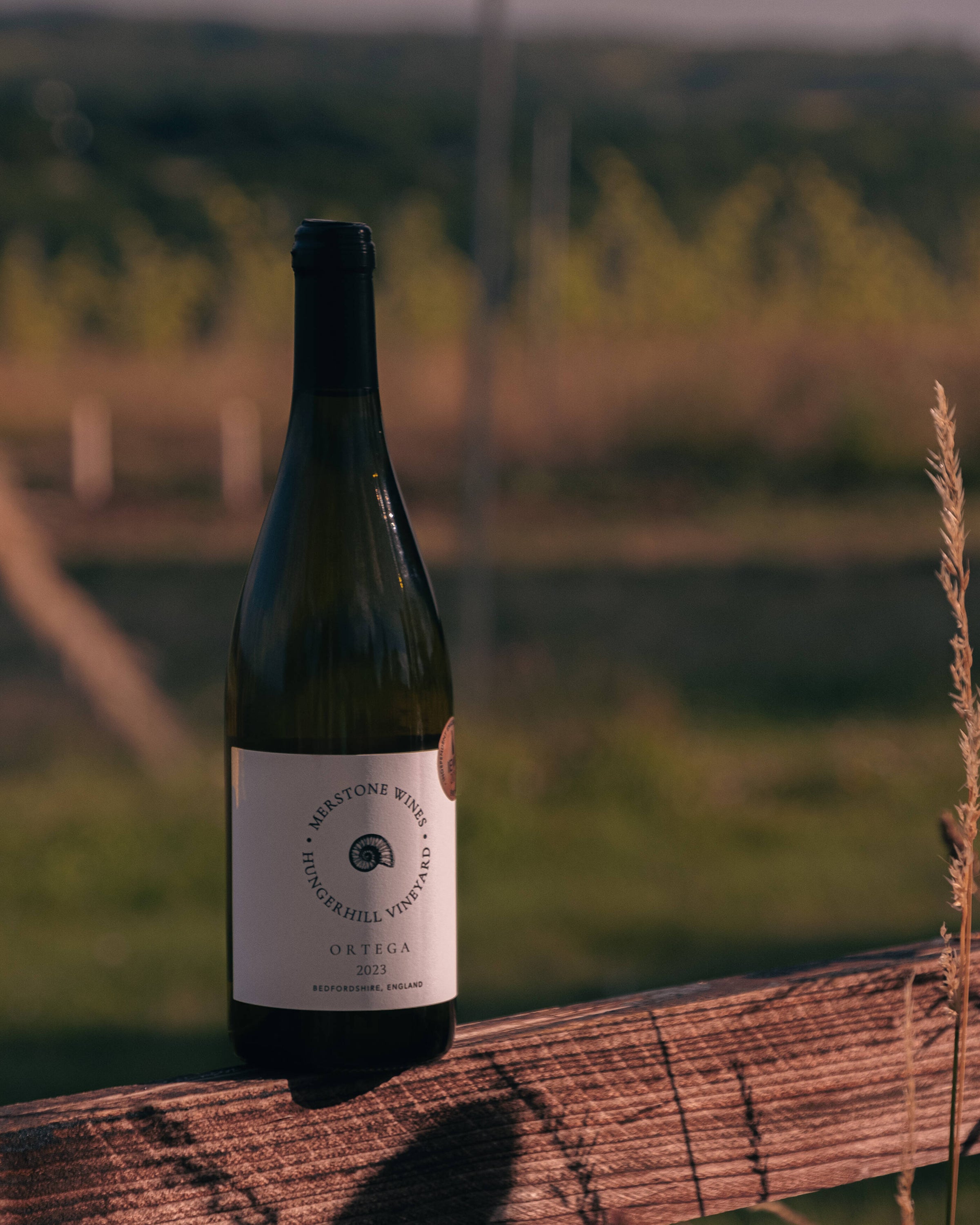 Home | Hungerhill Vineyard