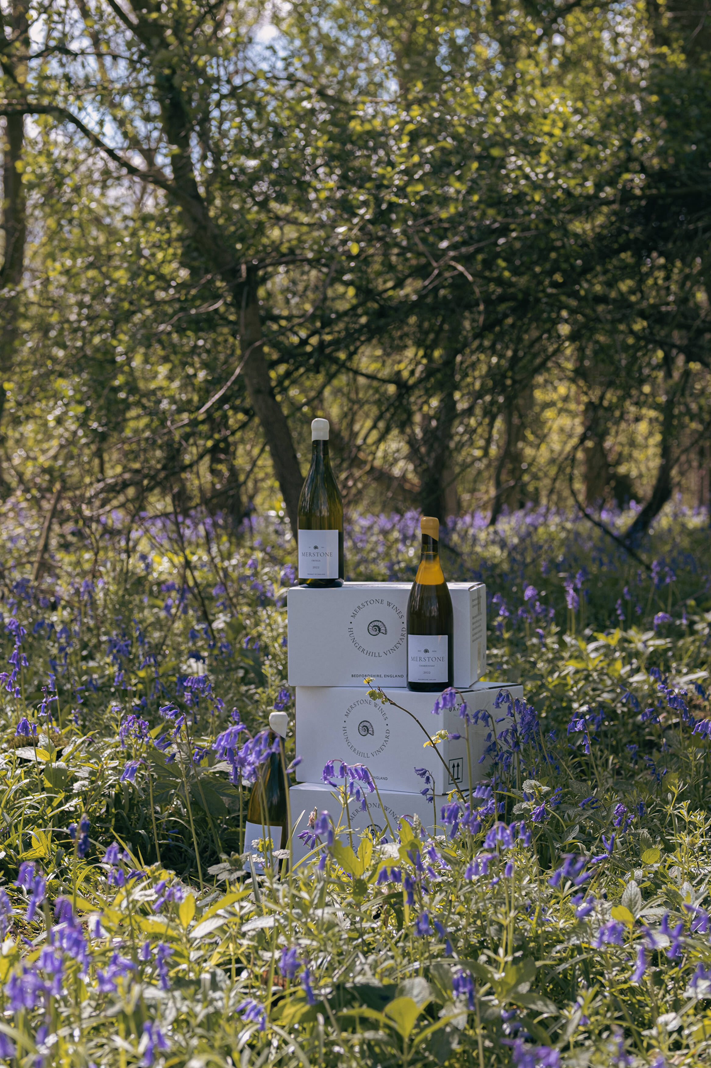 About | Hungerhill Vineyard